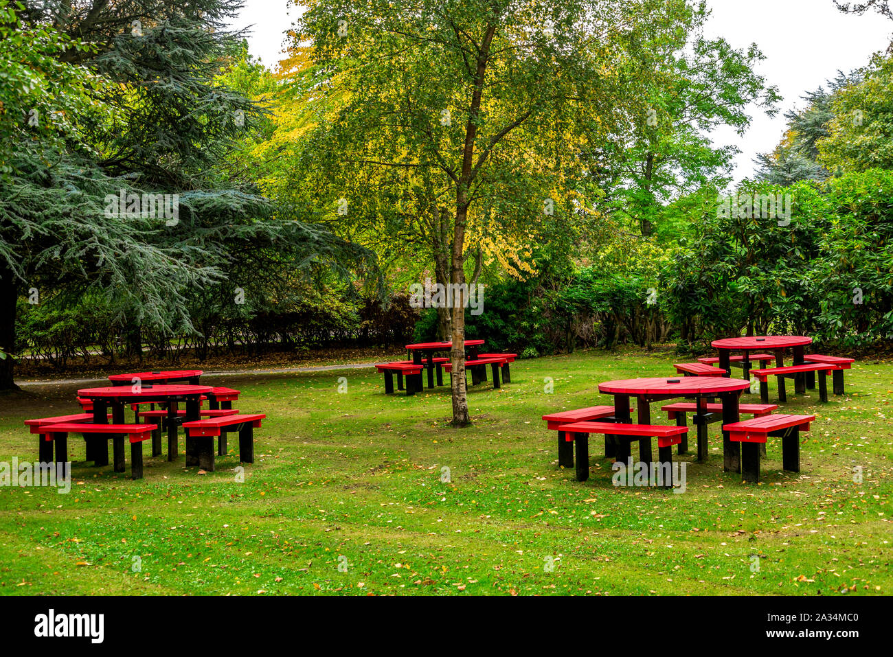 Scenic tables and benches with red painted tops and black painted legs ...