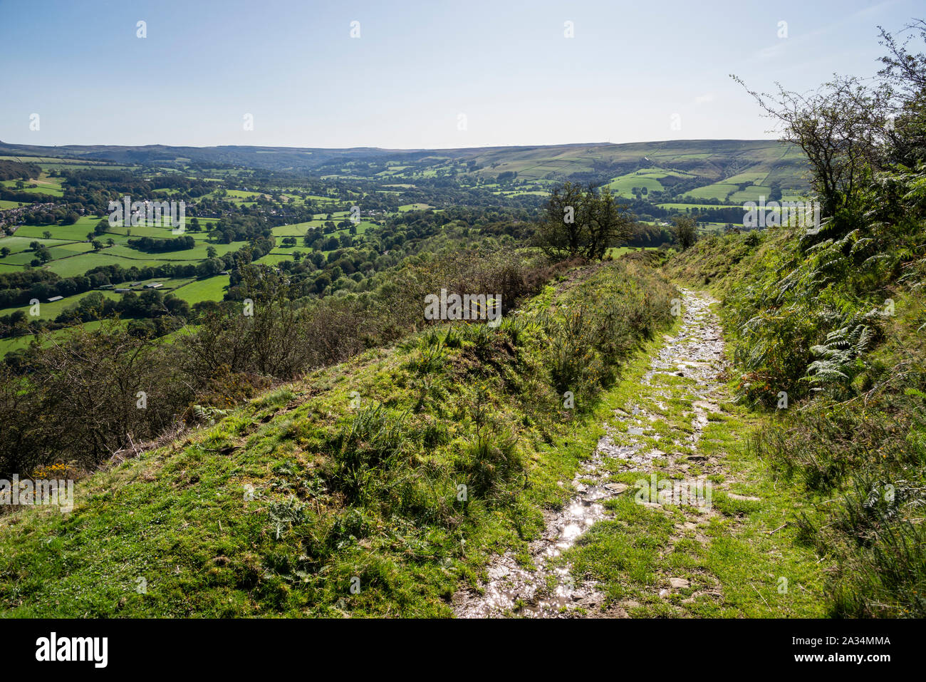 Win green hill hi-res stock photography and images - Alamy