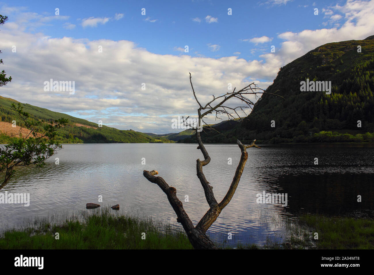 Picturess hi-res stock photography and images - Alamy