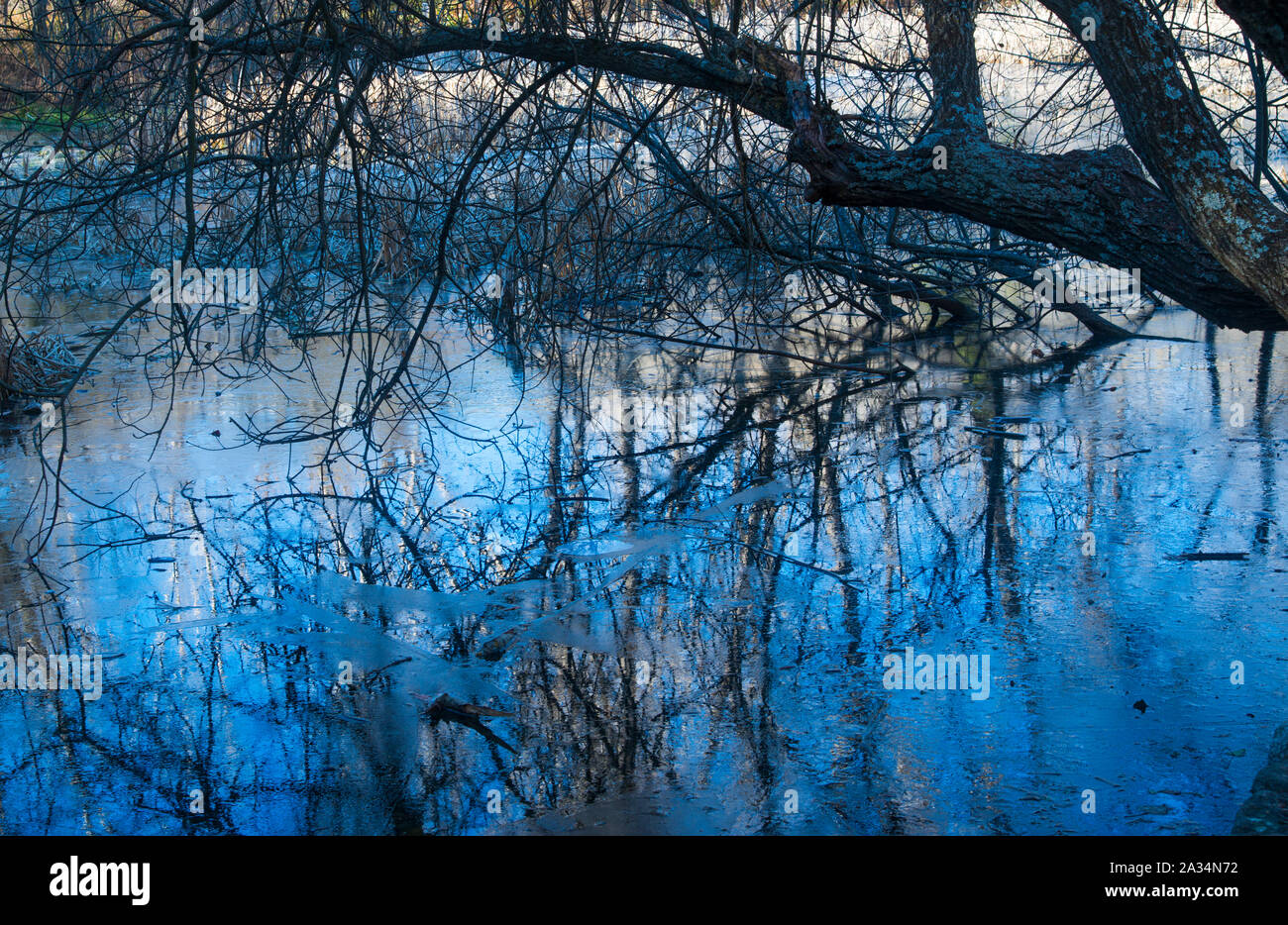 Reflections on water Stock Photo - Alamy