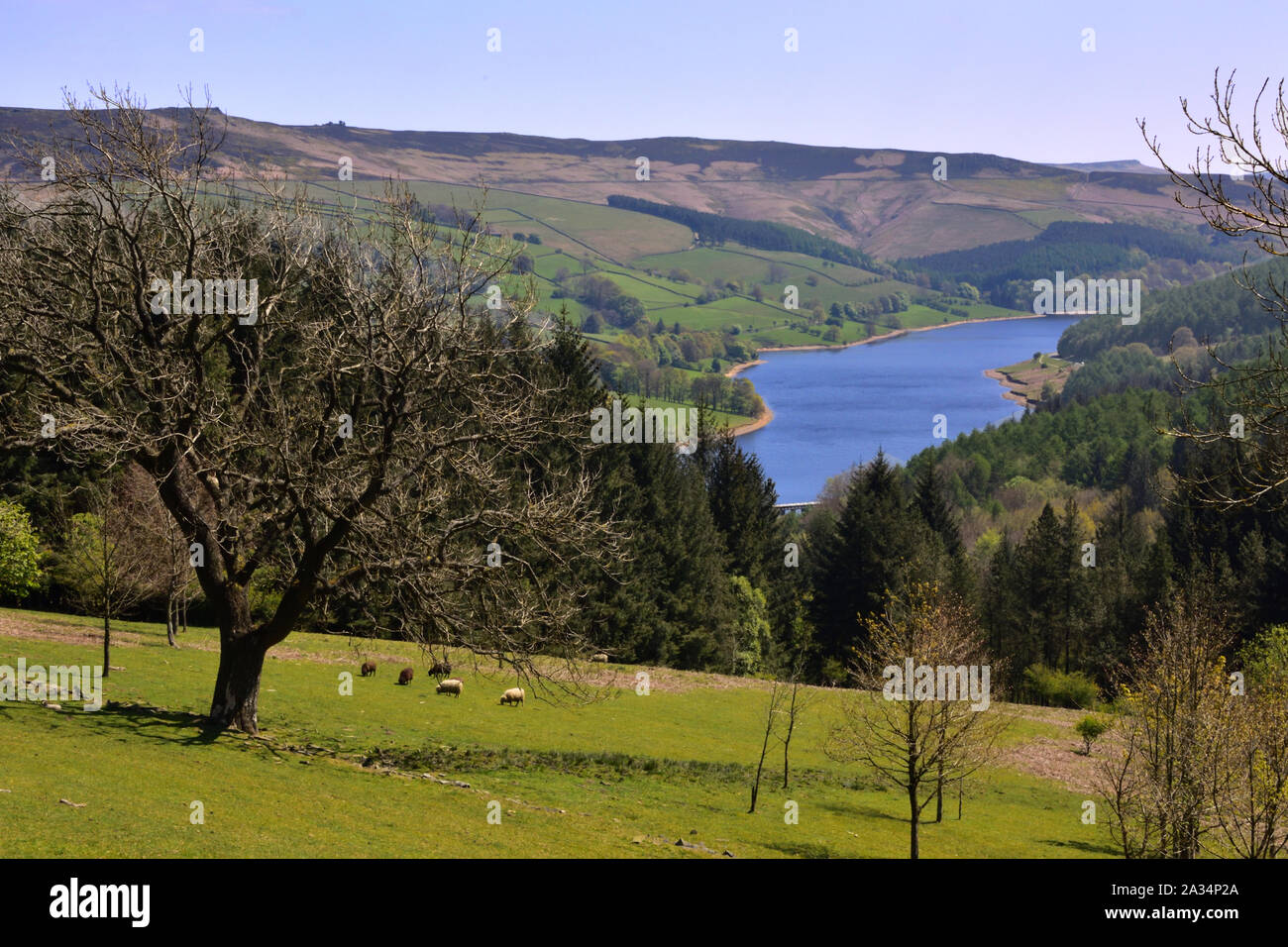 Lower derwent valley hi-res stock photography and images - Alamy