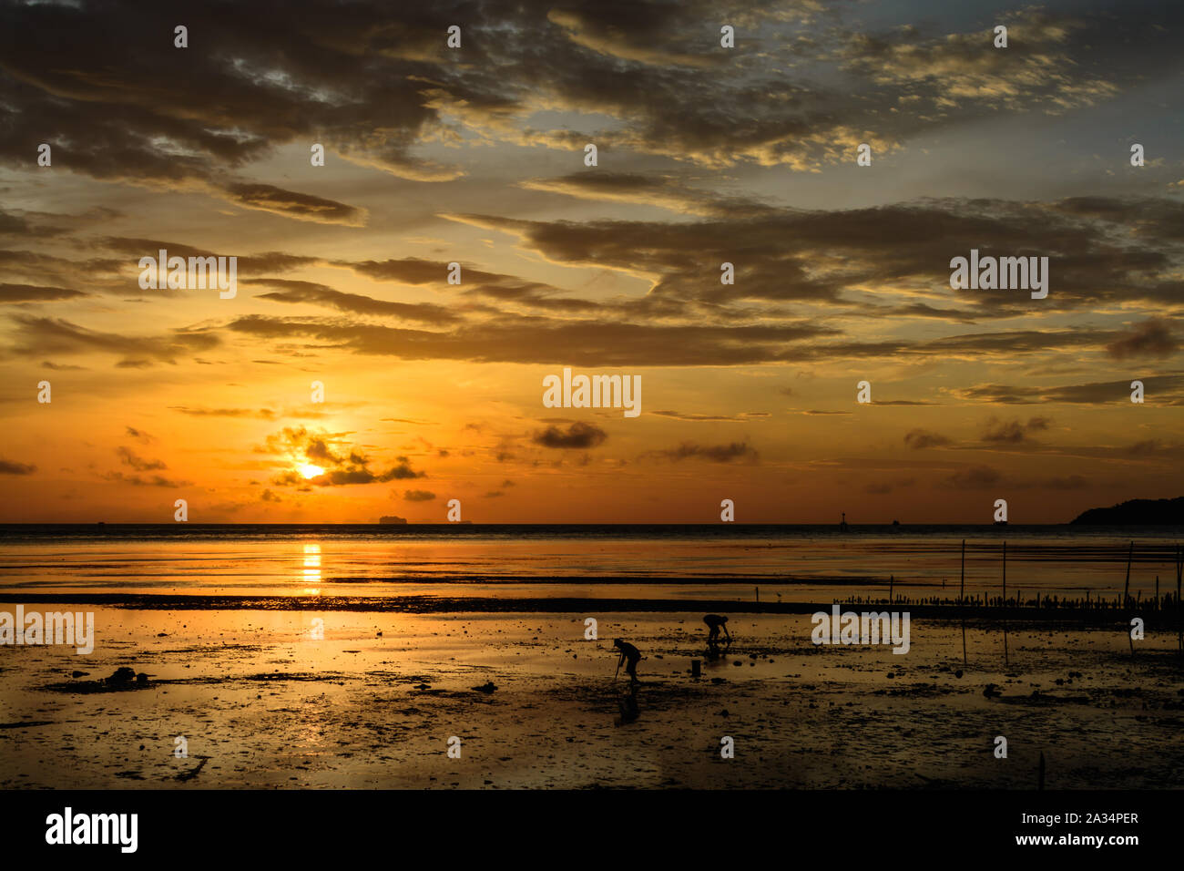 Urban scenery and night scenery hi-res stock photography and images - Alamy