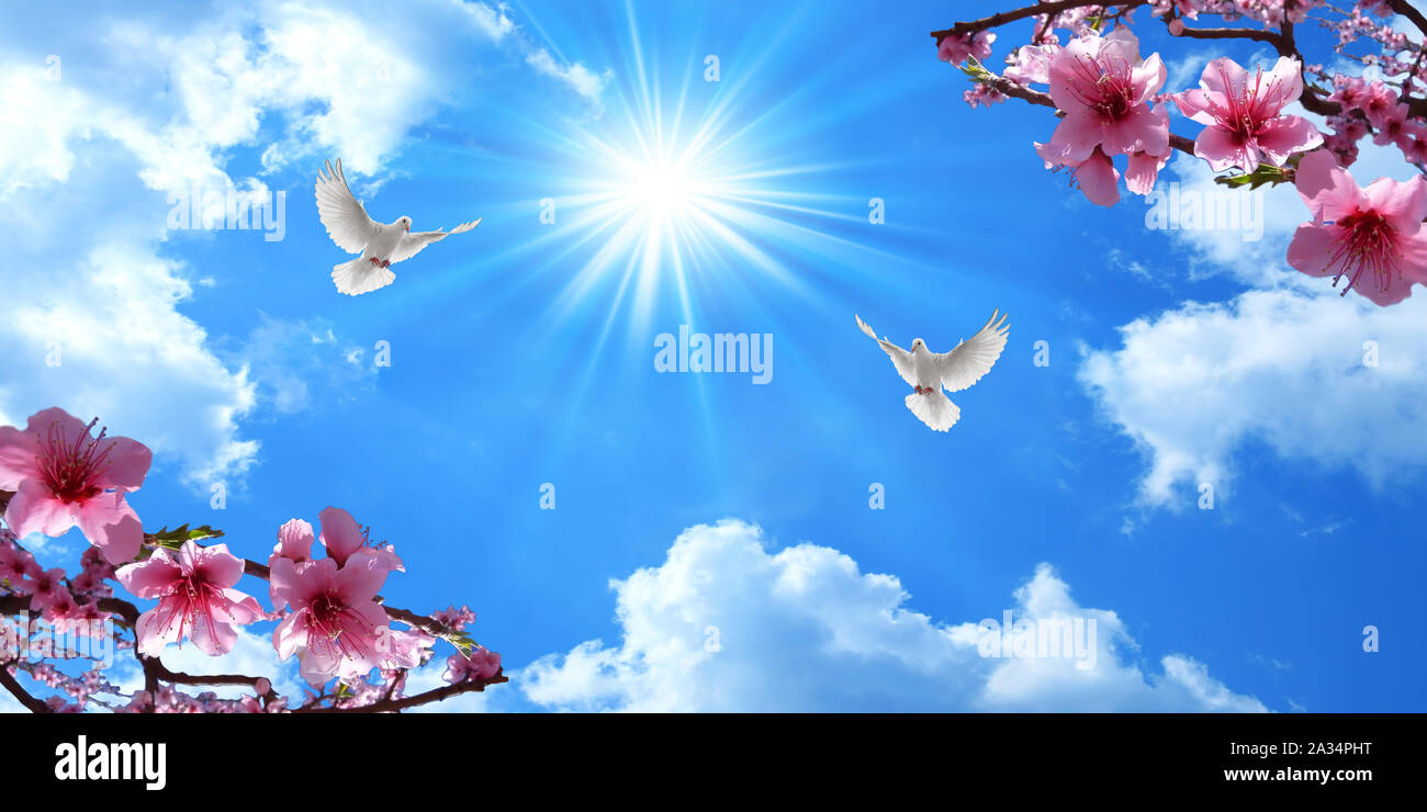 spring flowers and cloudy sky Stock Photo - Alamy