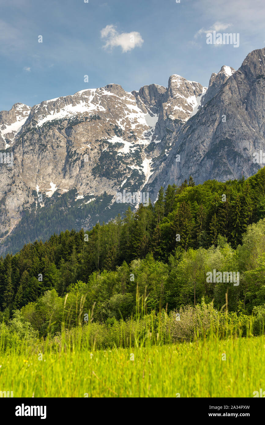 Bda fusch hi-res stock photography and images - Alamy