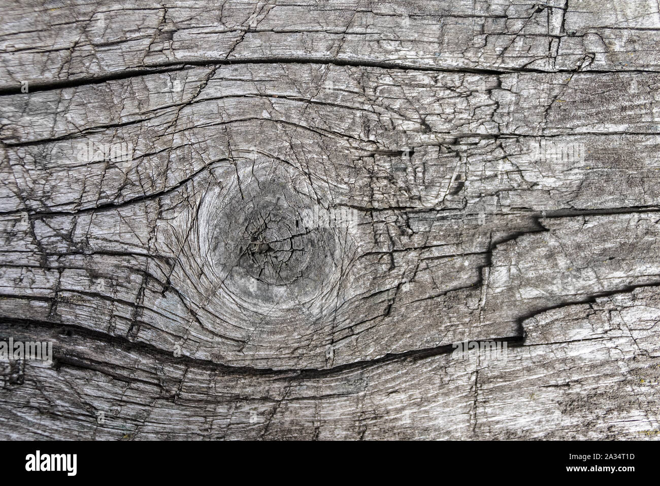 Cracks in sawn timber hi-res stock photography and images - Alamy