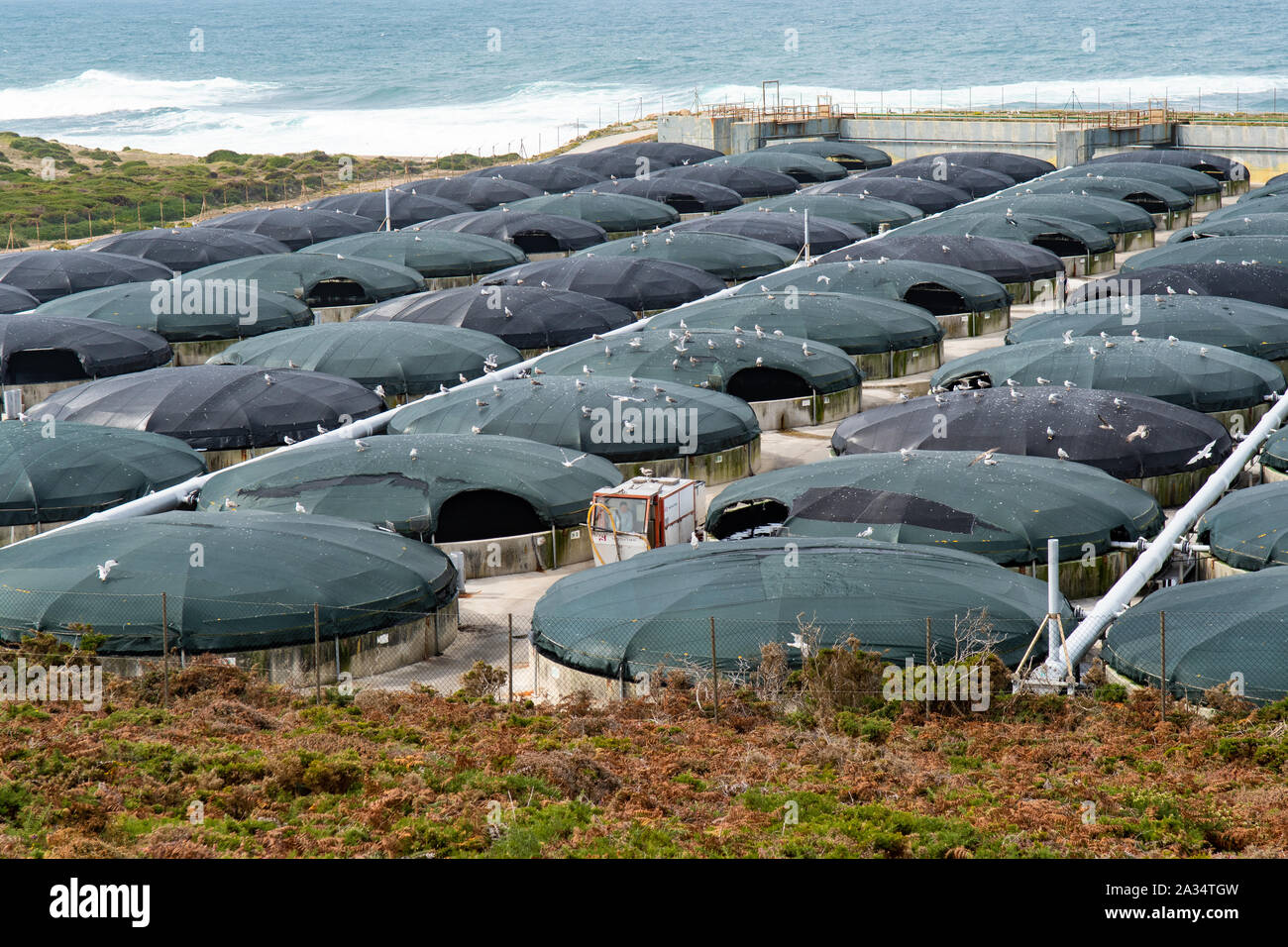 Land based fish farming hi-res stock photography and images - Alamy