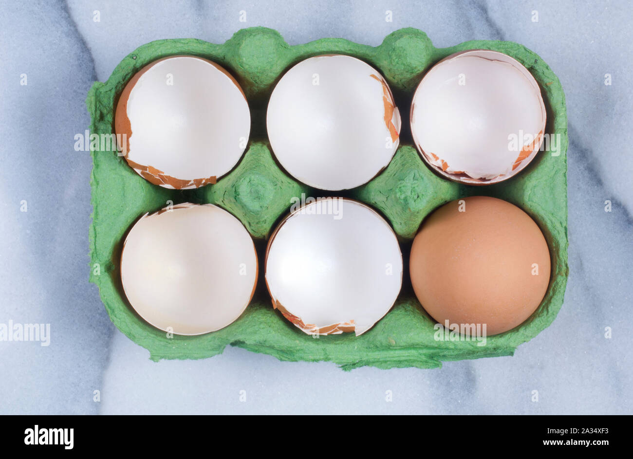 Studio shot of cracked, empty chicken egg shells in an egg box on a ...