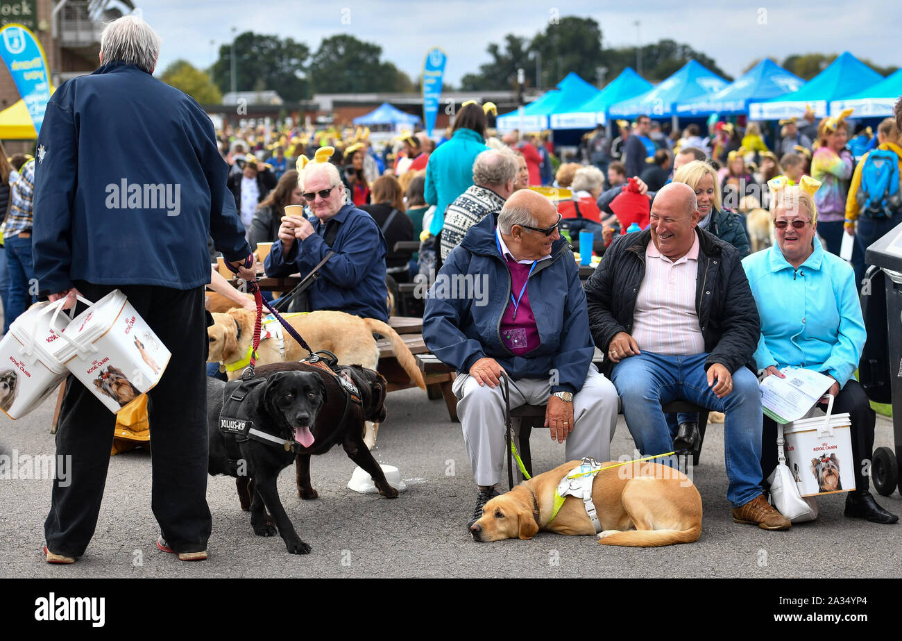 Retired guide dogs hi-res stock photography and images - Alamy