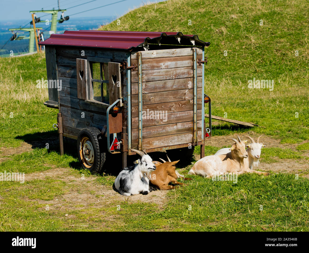 Goat wagon hi-res stock photography and images - Alamy