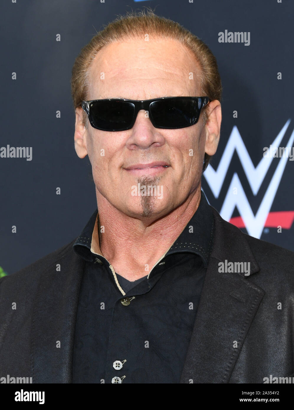 Los Angeles, USA. 04th Oct 2019. Sting, Steve Borden. WWE 20th Anniversary Celebration Marking ...