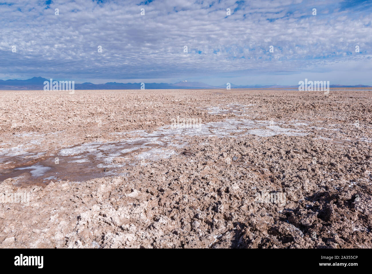 Laguna de Chaxa Chaxa Lake, Salar de Atacama, Atacama Desert, San Pedro ...