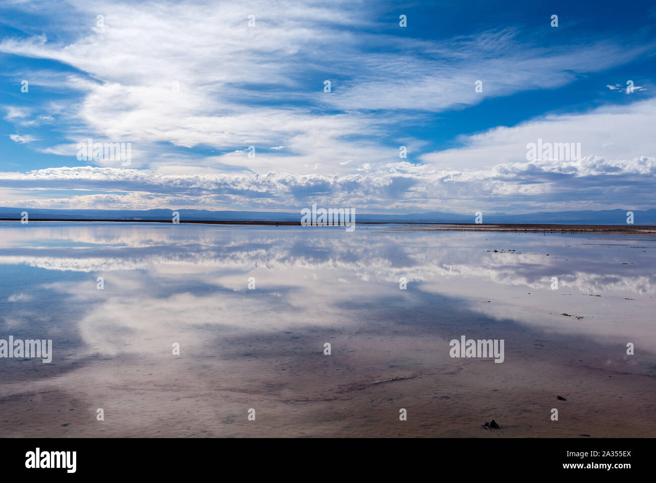 Laguna de Chaxa Chaxa Lake, Salar de Atacama, Atacama Desert, San Pedro ...
