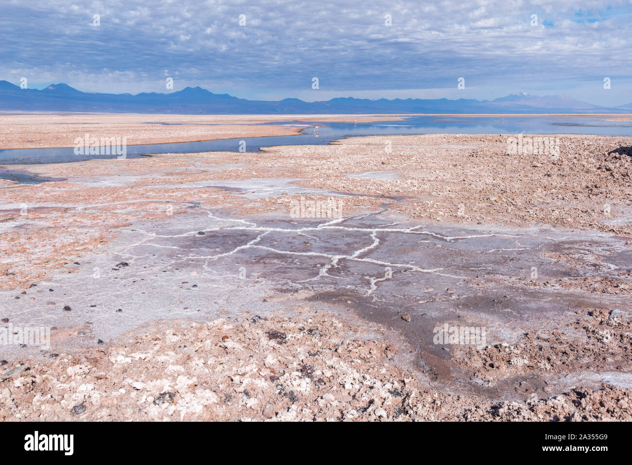 Laguna de Chaxa Chaxa Lake, Salar de Atacama, Atacama Desert, San Pedro ...