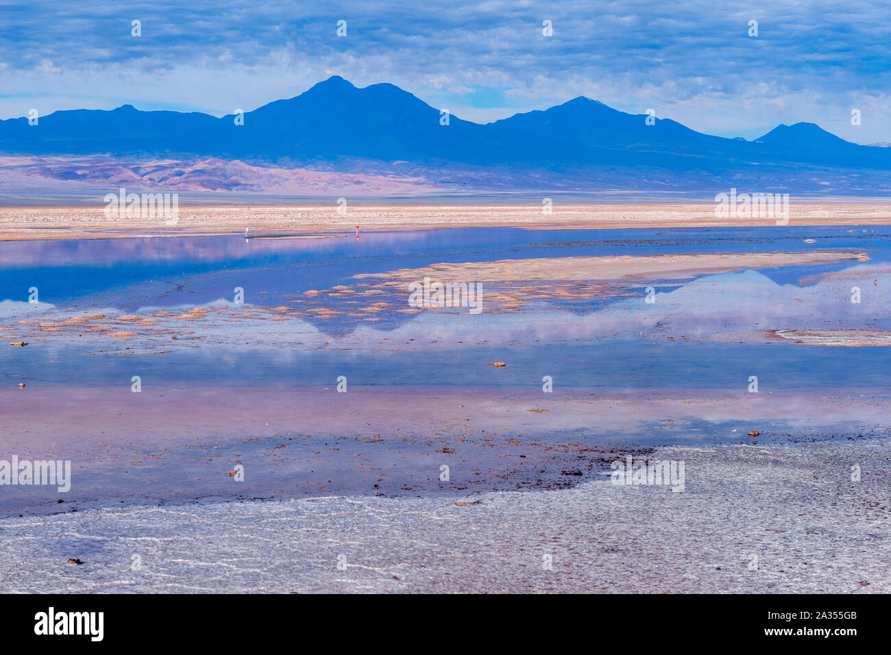 Laguna de Chaxa Chaxa Lake, Salar de Atacama, Atacama Desert, San Pedro ...