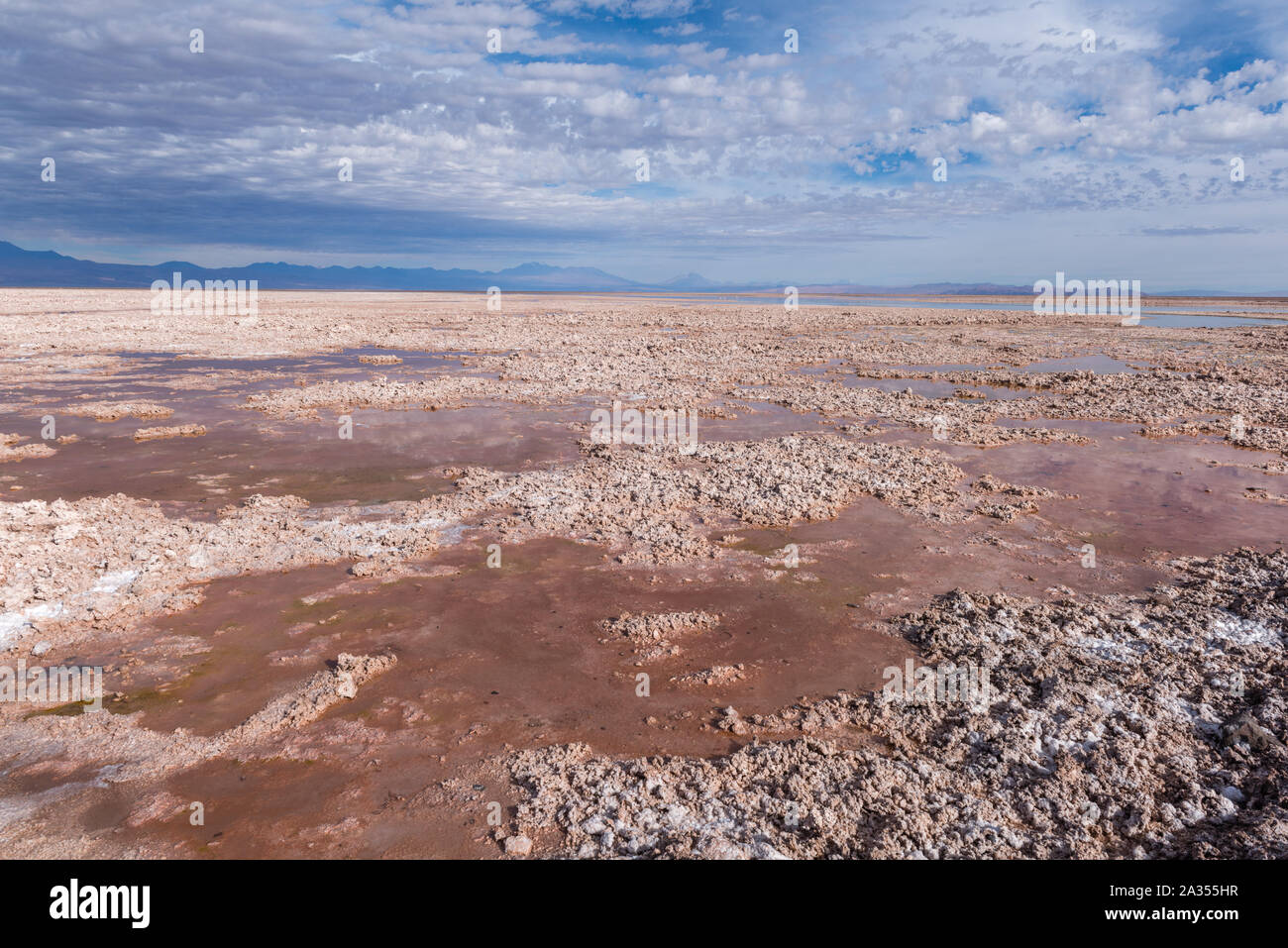 Laguna de Chaxa Chaxa Lake, Salar de Atacama, Atacama Desert, San Pedro ...