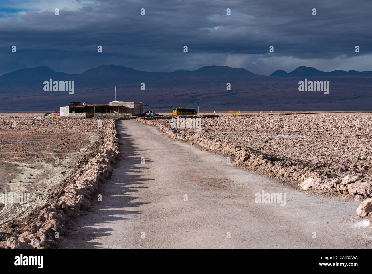 Laguna de Chaxa Chaxa Lake, Salar de Atacama, Atacama Desert, San Pedro ...