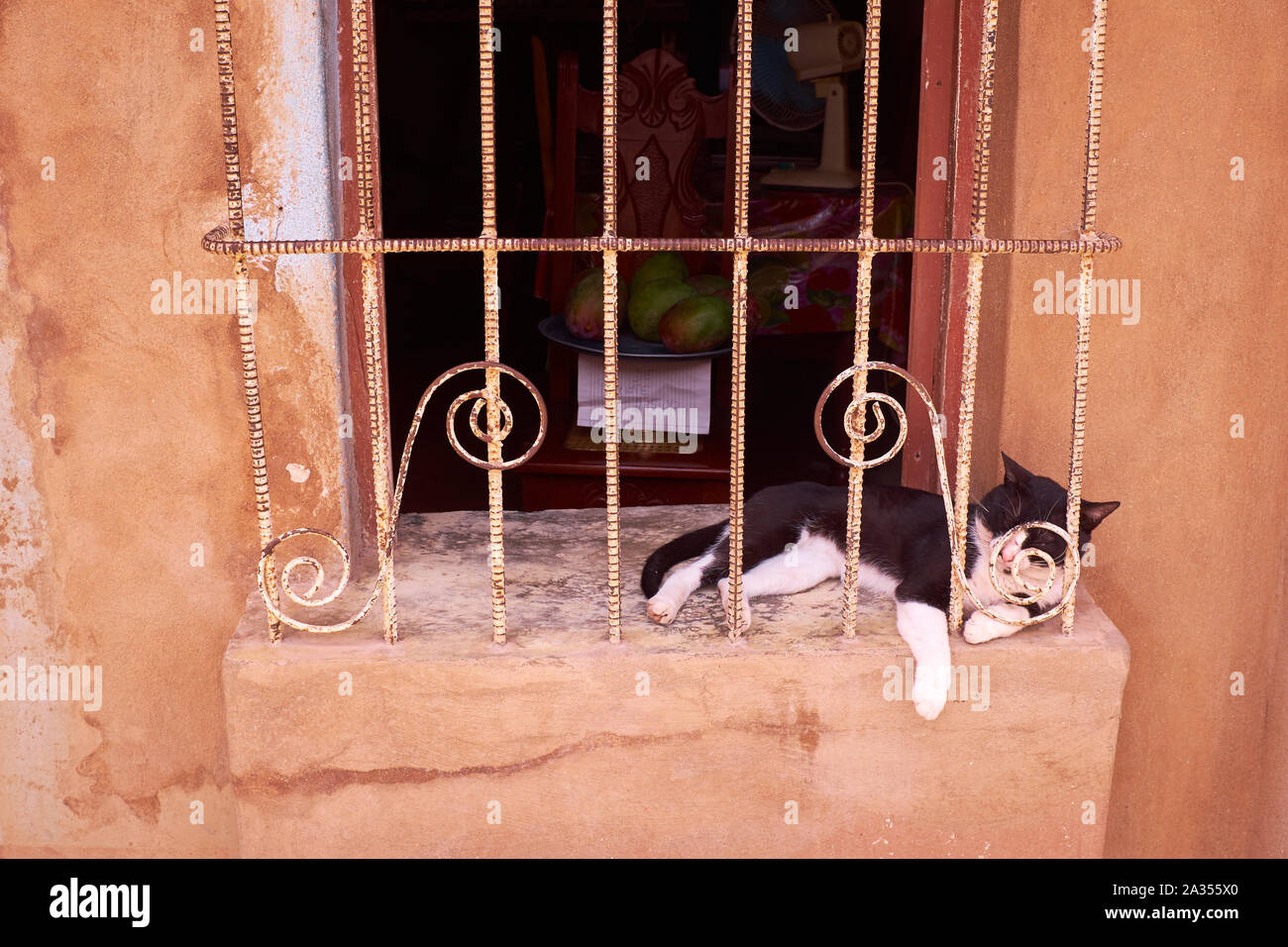 A cat relaxes in a window in Trinidad, Cuba Stock Photo - Alamy