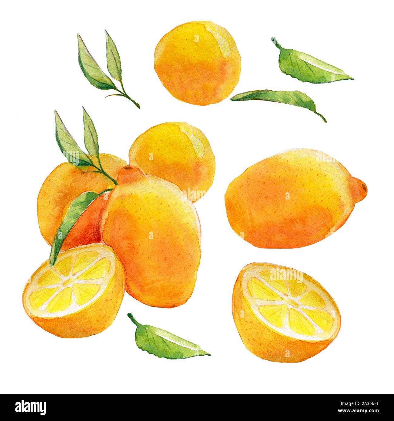 Lemons Seamless Pattern. Watercolor square frame of lemons and branches ...