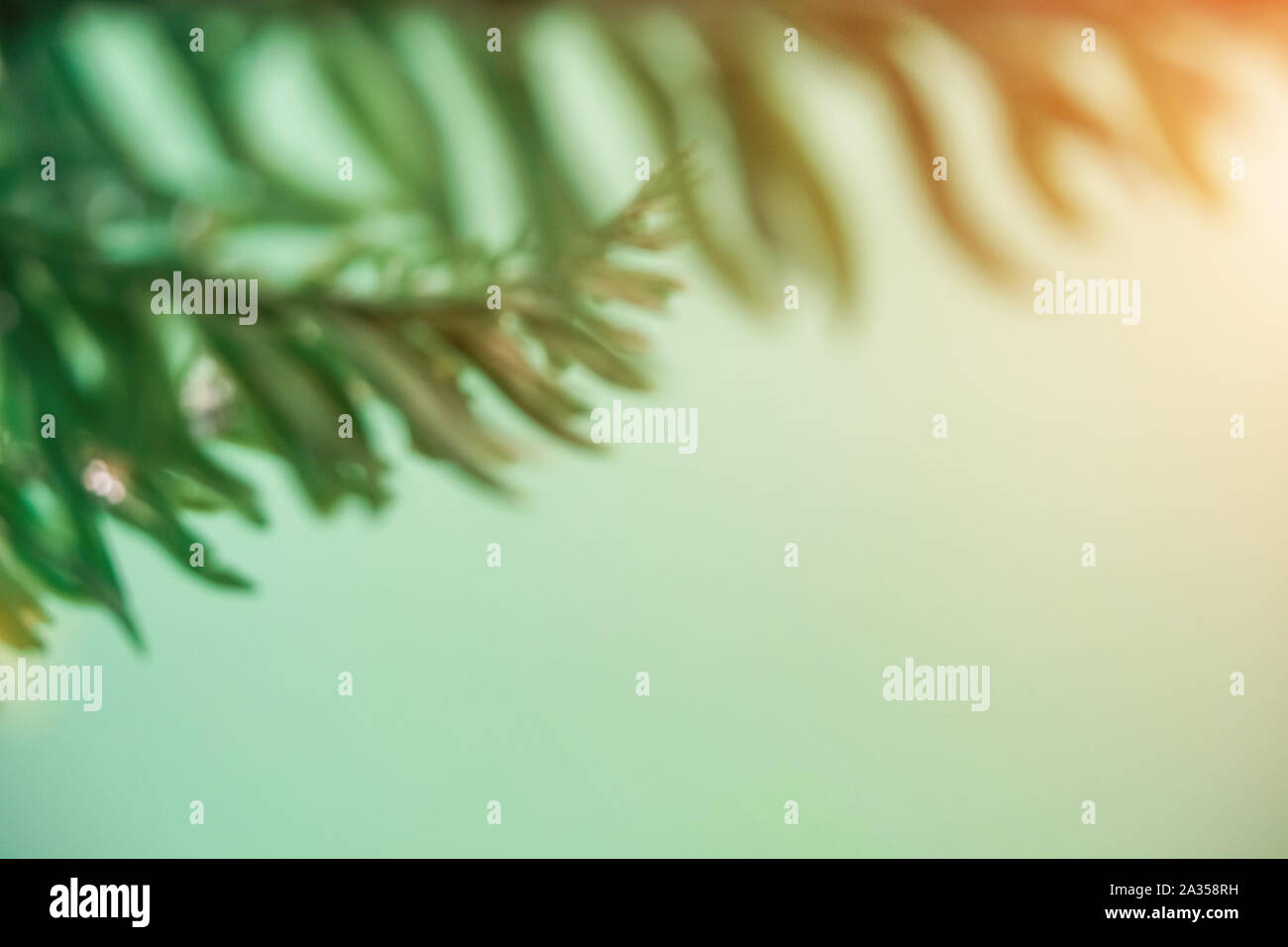 Out of focus tree branches hi-res stock photography and images - Alamy