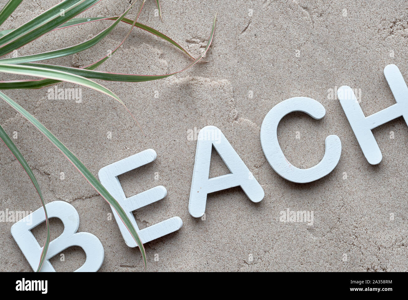 Decorative wooden letters "beach" on wet sand with palm leaves. Sand ...