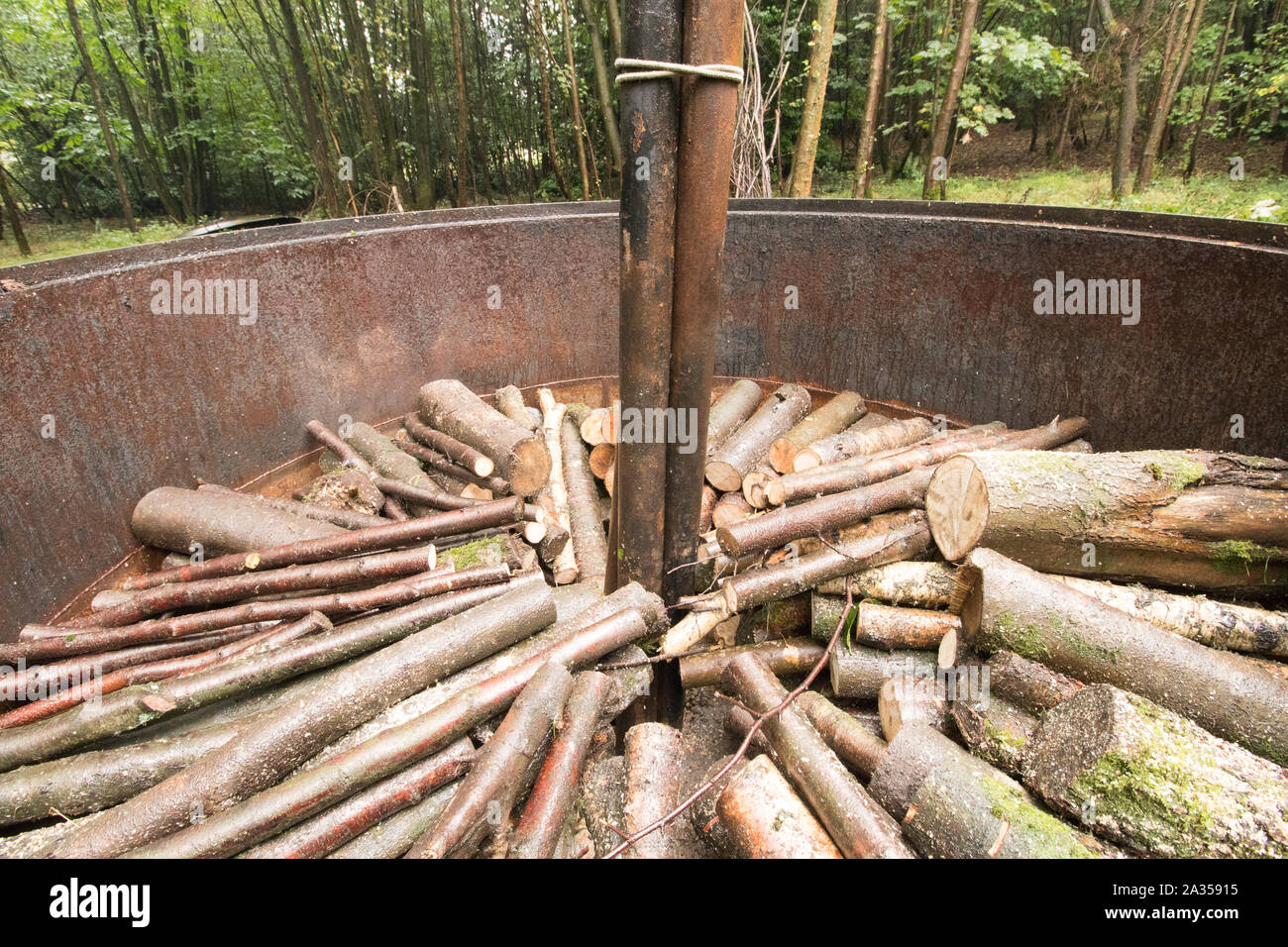 Woodland management coppiced woodland hi-res stock photography and ...