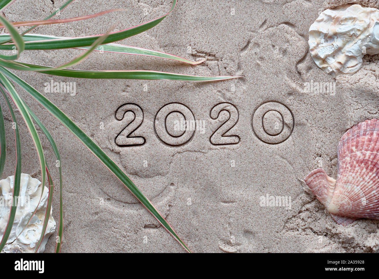 2020 new year shells hi-res stock photography and images - Alamy