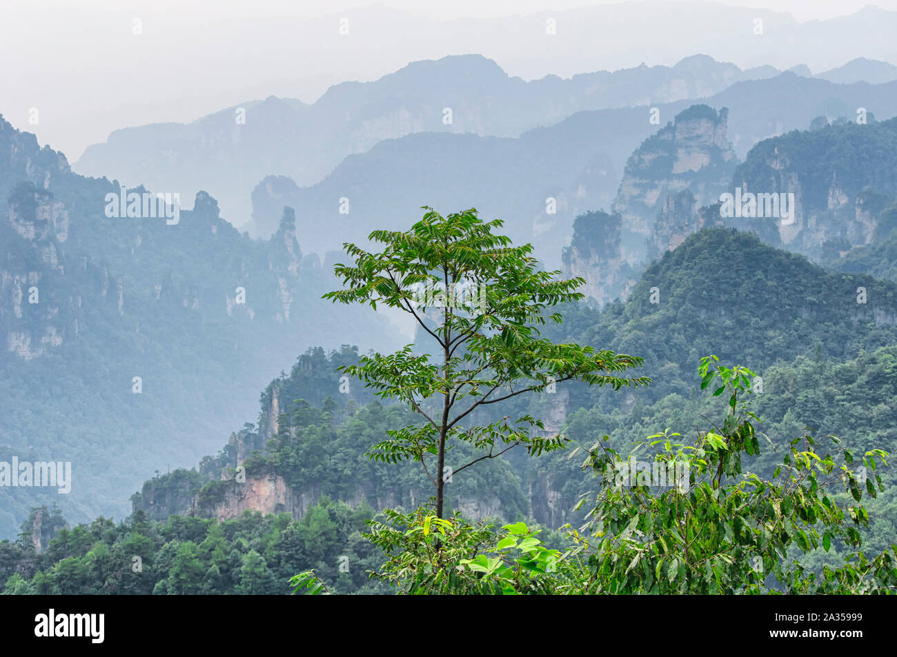 Hunan, china landscape hi-res stock photography and images - Alamy