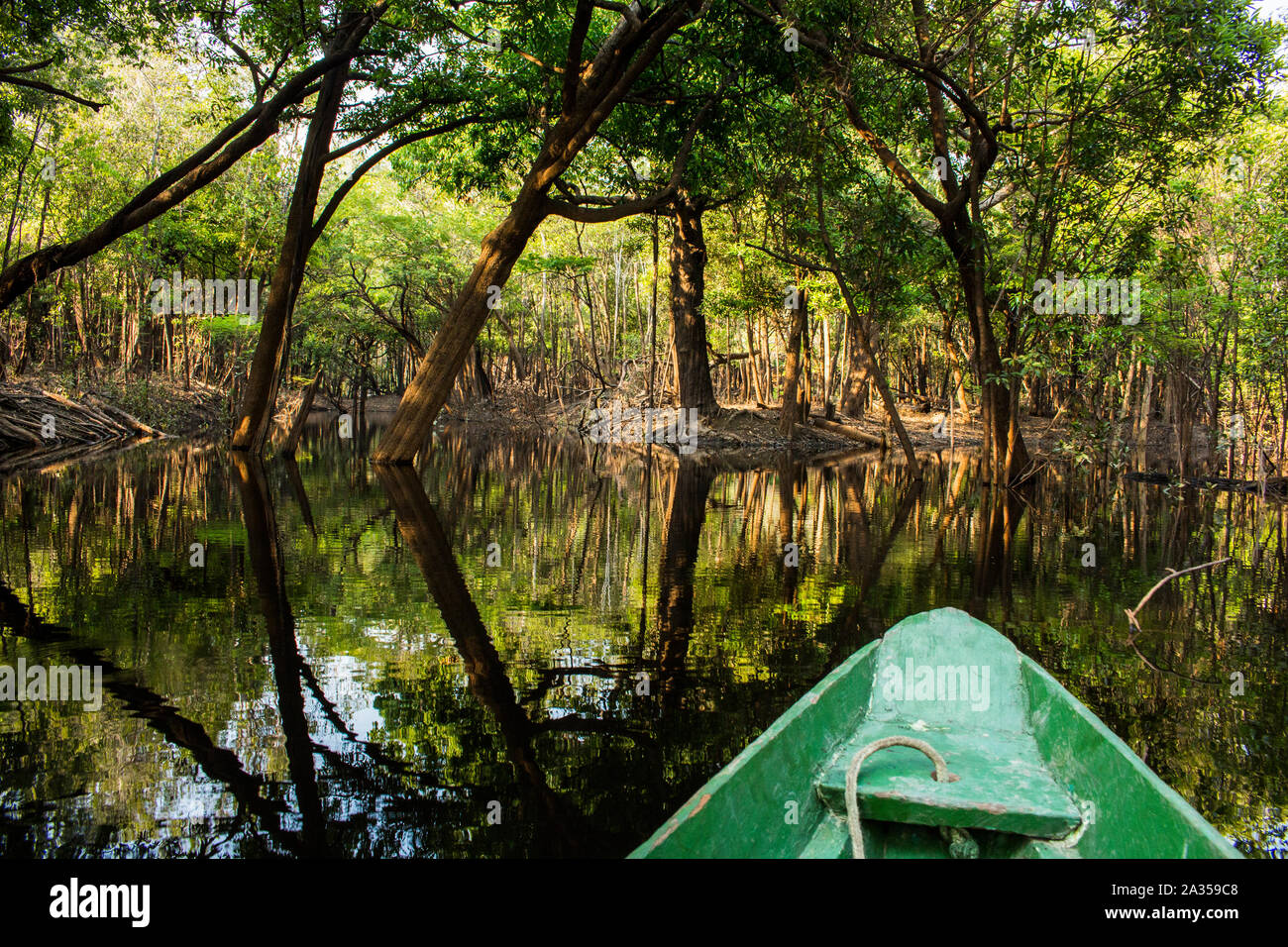 Branch of the Rio Negro, Amazonas, Brazil Stock Photo - Alamy