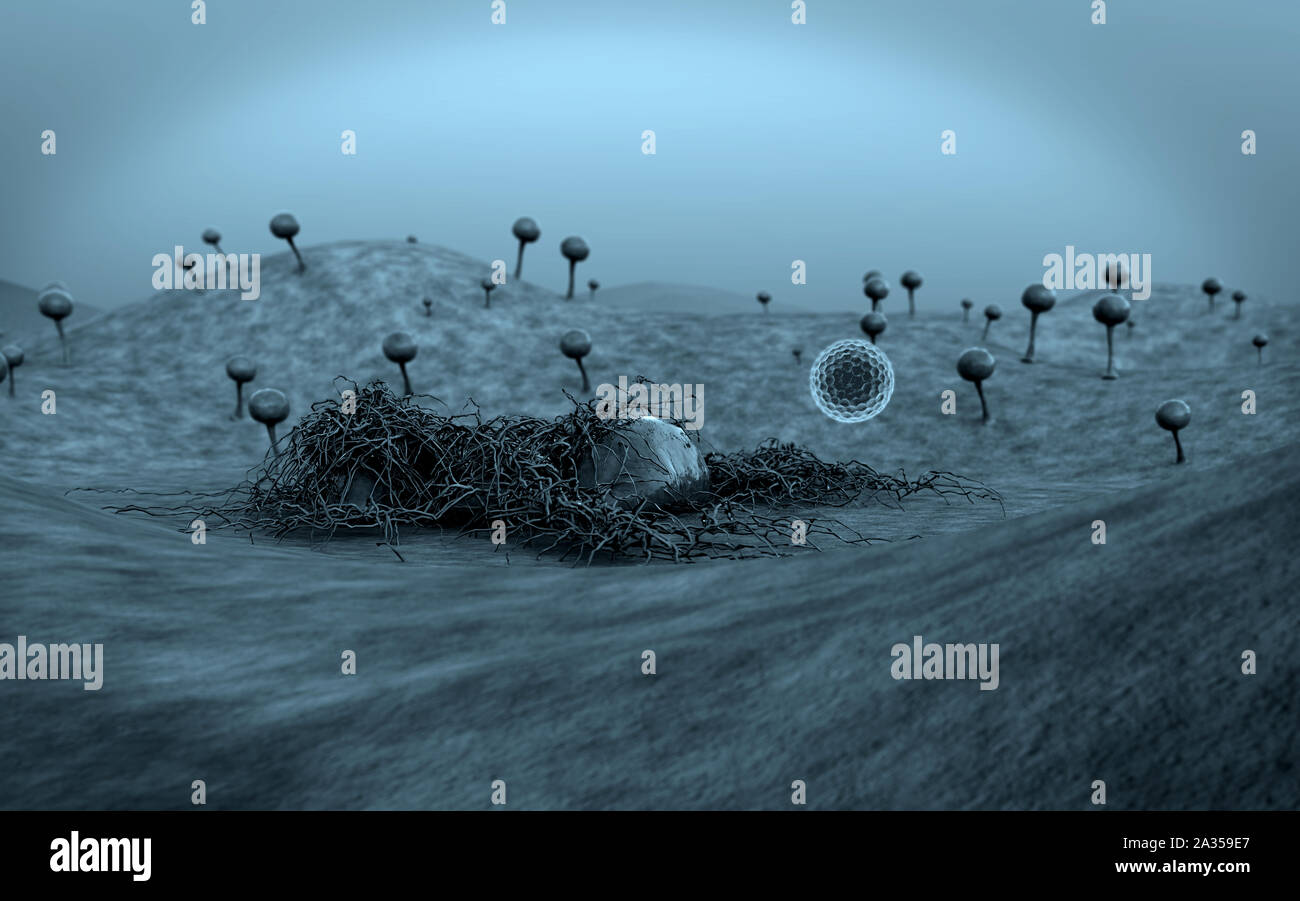 Animation spores hi-res stock photography and images - Alamy