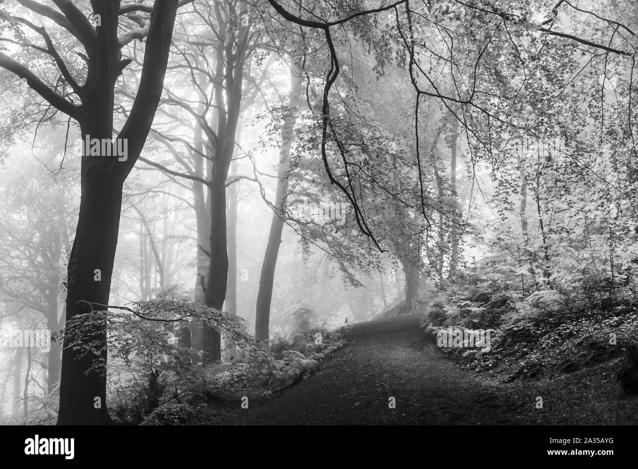 Redburn hi-res stock photography and images - Alamy