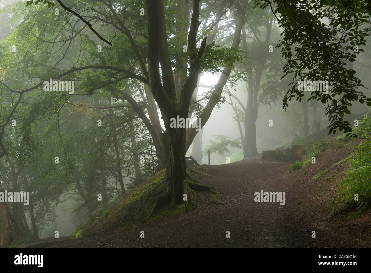 Redburn hi-res stock photography and images - Alamy