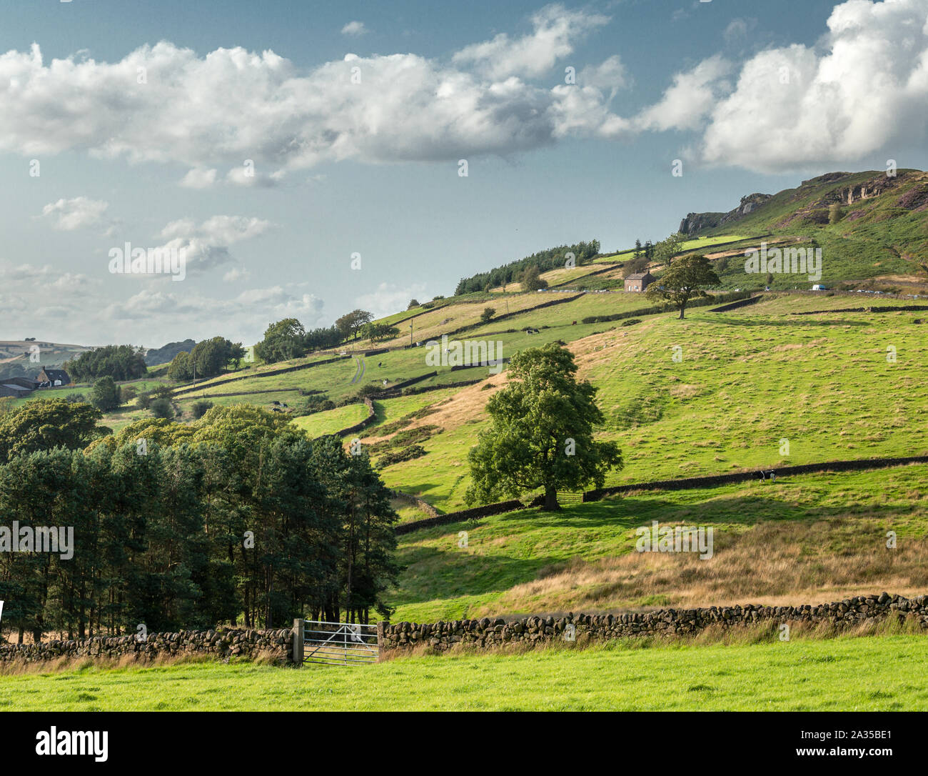 Background Scenery Hillside Farm Hillside Farm Camping, Market Weston,