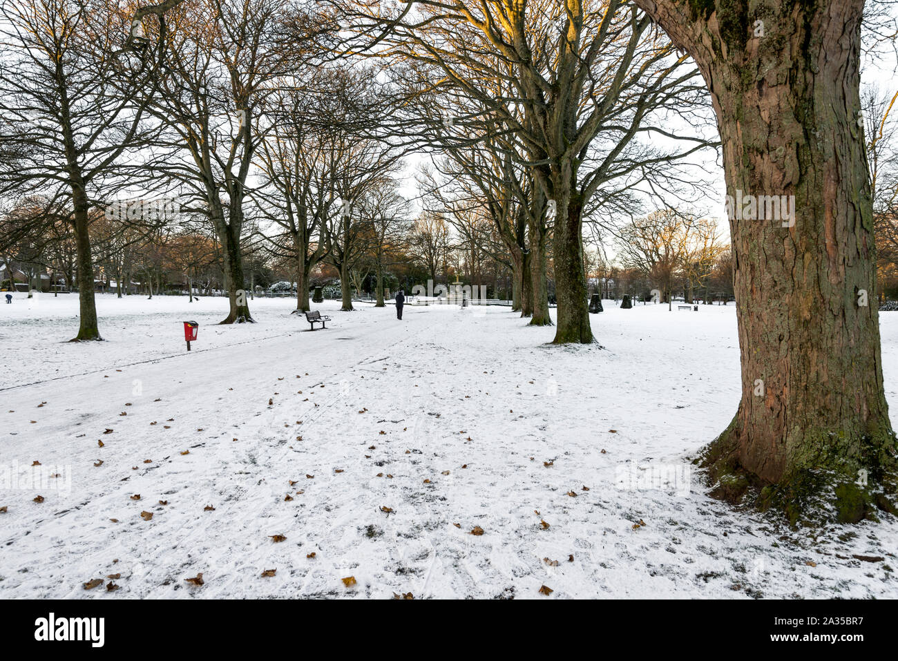 A scenic alley covered by snow leading to an old fountain in Victoria ...