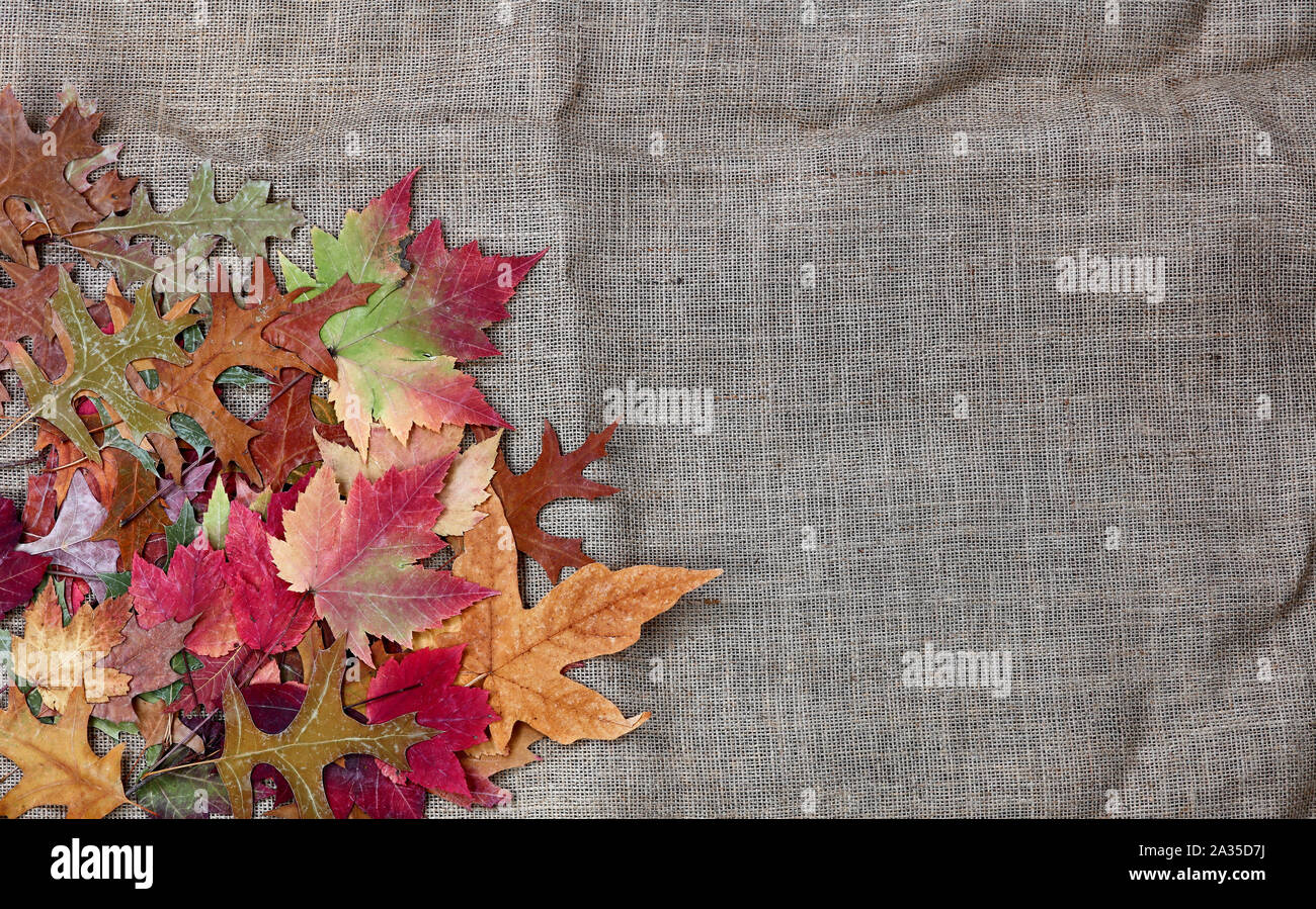 Rustic burlap leaves hi-res stock photography and images - Alamy