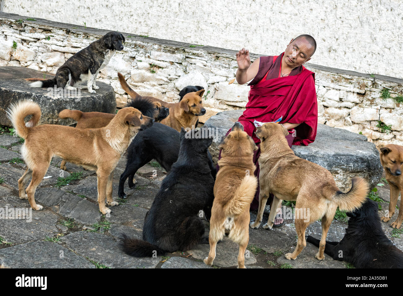 Bhutan Monk High Resolution Stock Photography and Images - Alamy