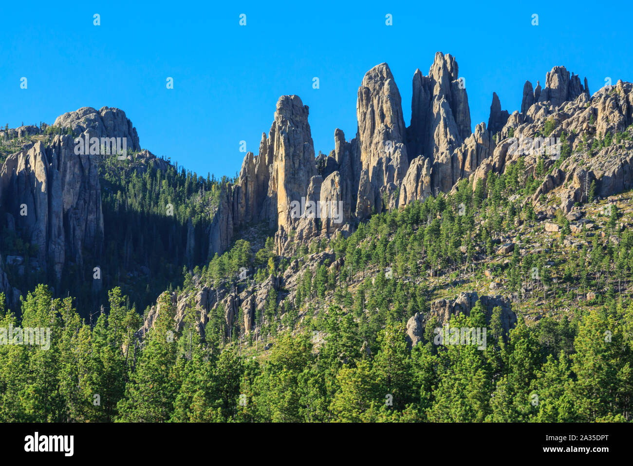 cathedral spires viewed from the needles highway in custer state park ...
