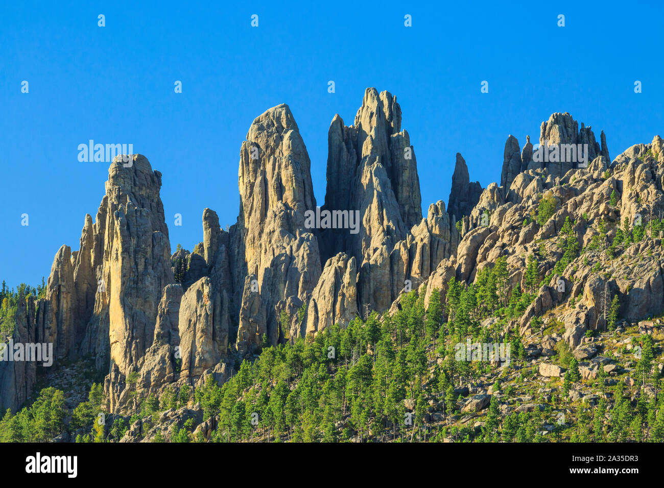 cathedral spires viewed from the needles highway in custer state park ...