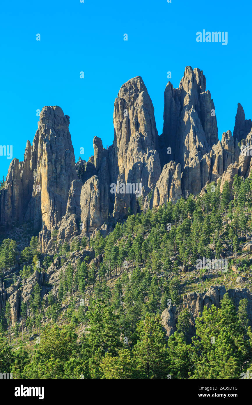 cathedral spires viewed from the needles highway in custer state park ...