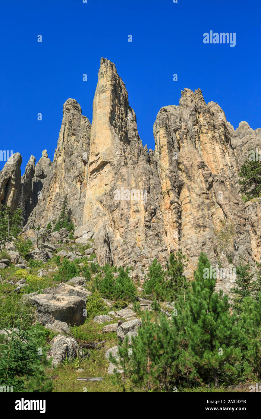 cathedral spires in custer state park near custer, south dakota Stock ...