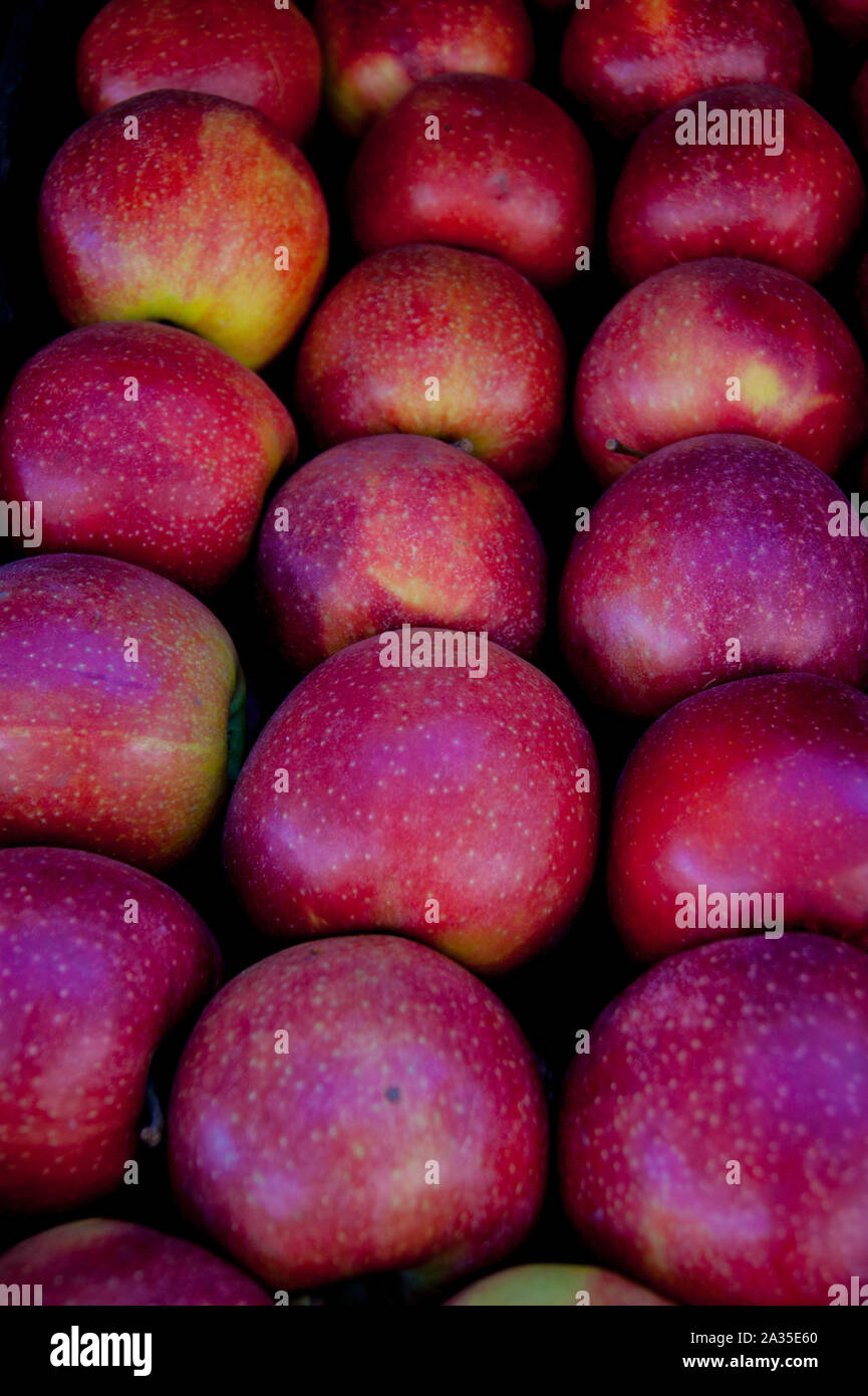 Rows of red apples in the market Stock Photo - Alamy
