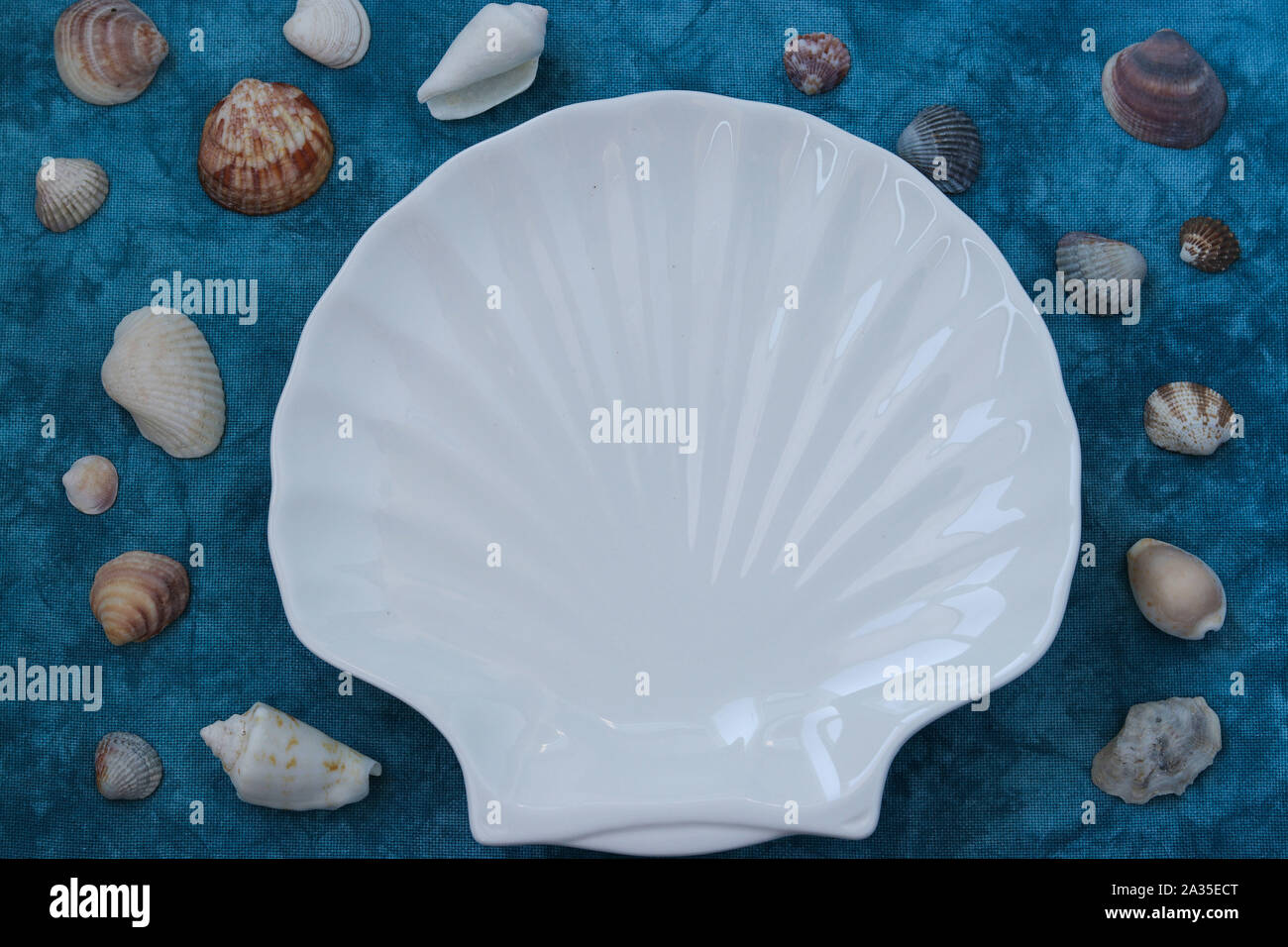 Plate white shell in marine style on a blue background Stock Photo - Alamy