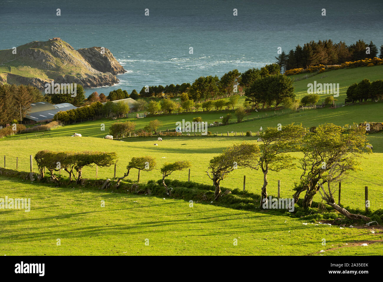 Torr head hi-res stock photography and images - Alamy