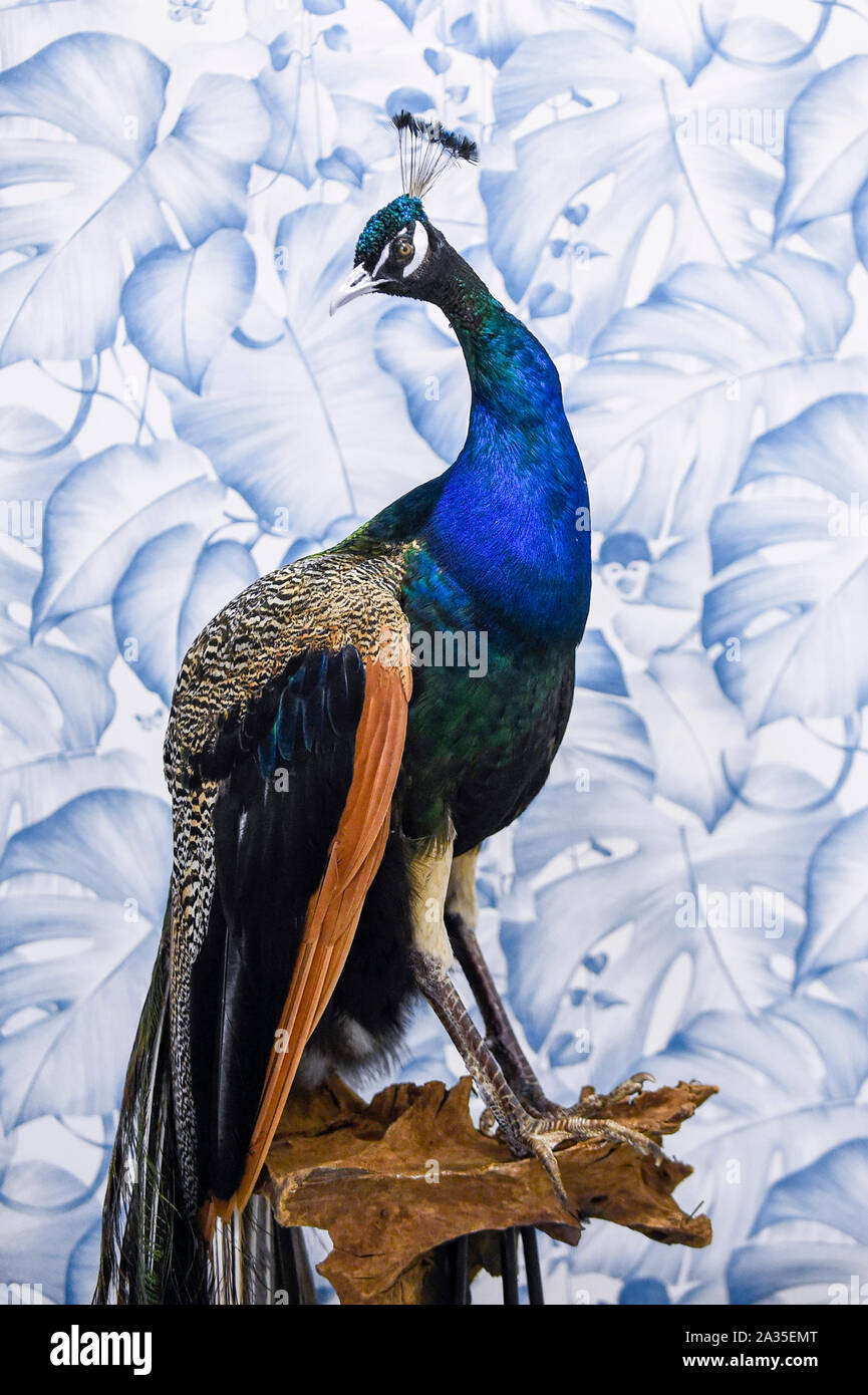 London kaye art hi-res stock photography and images - Alamy