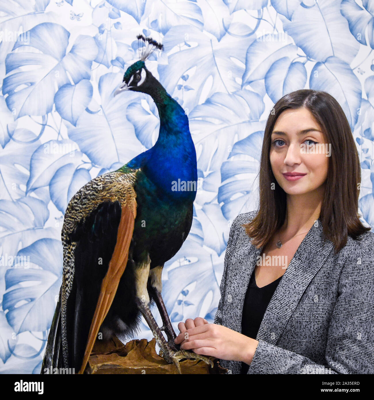 London kaye art hi-res stock photography and images - Alamy