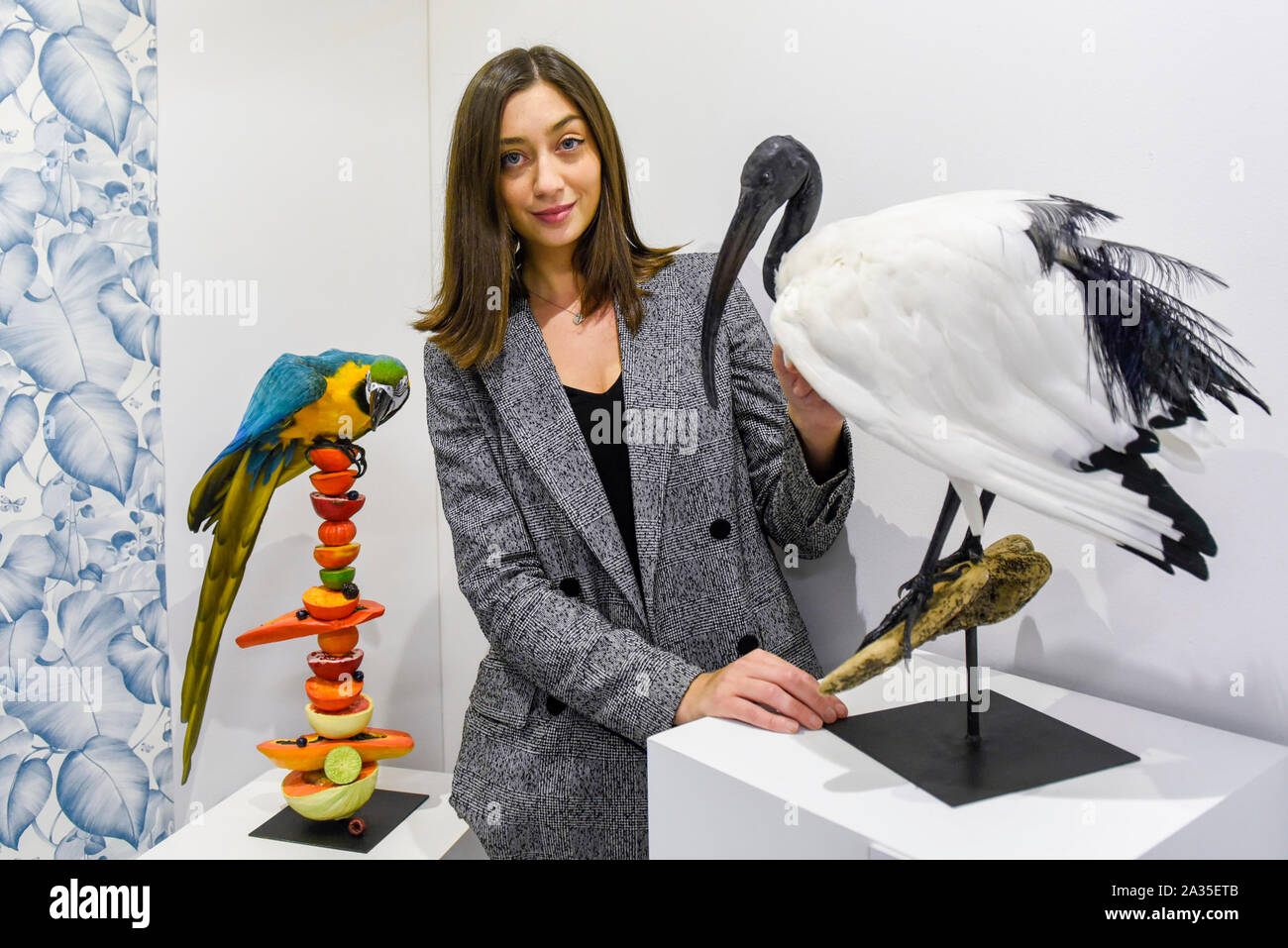 Elle kaye hi-res stock photography and images - Alamy