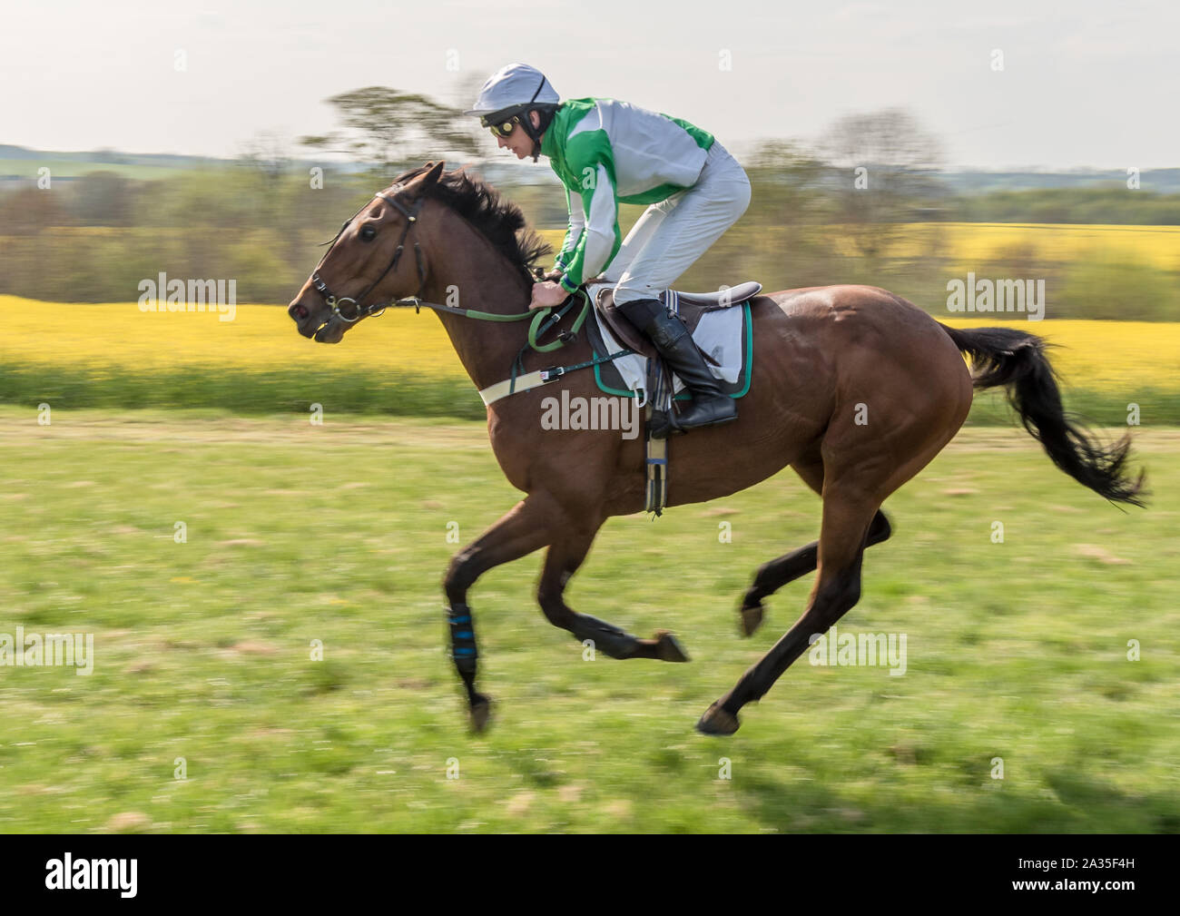 Racing the final furlong at Paxford point-to-point races Stock Photo ...