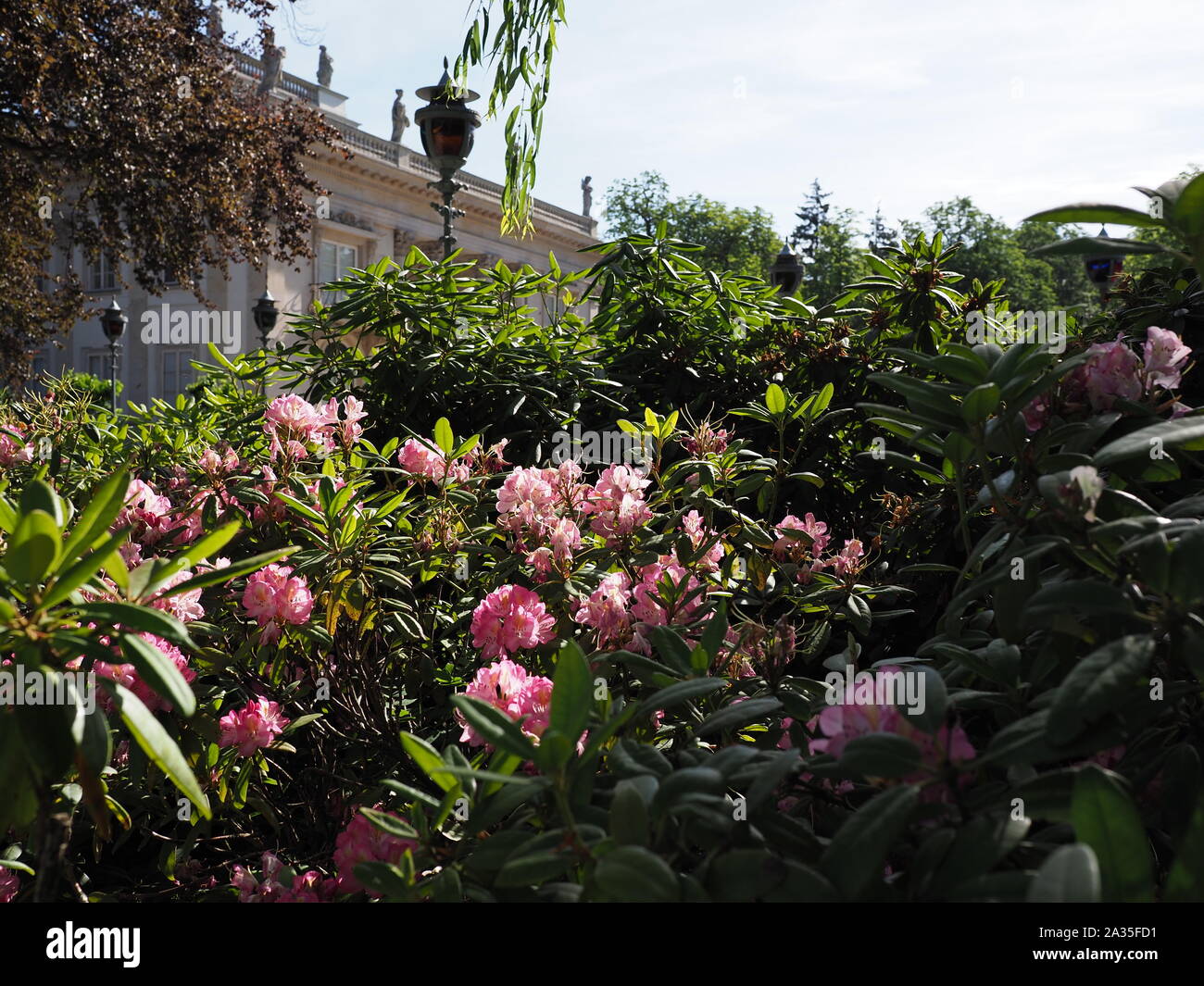 Beauty flowers and palace in park in Warsaw european capital city of ...