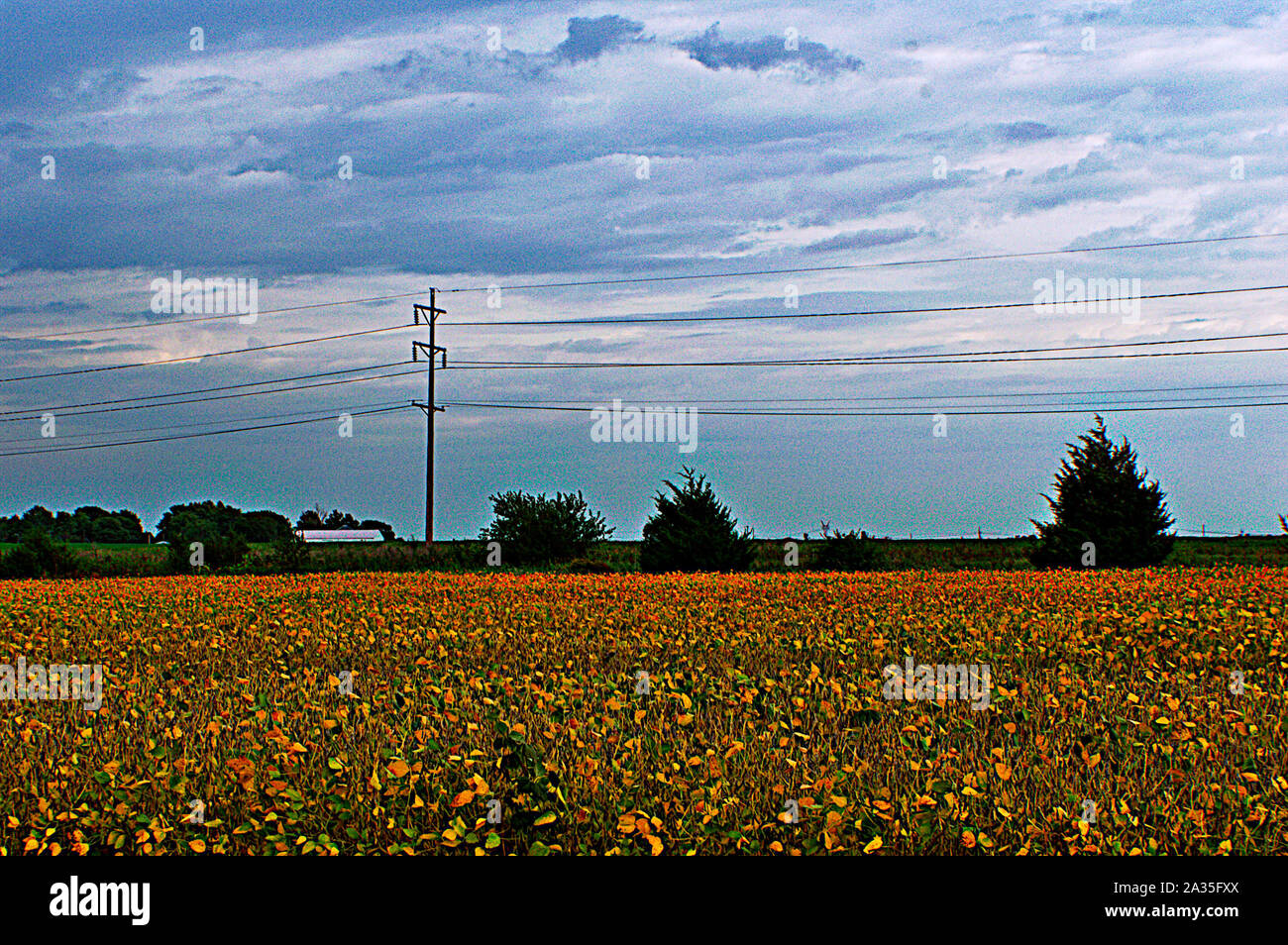 America's prairie land Stock Photo - Alamy