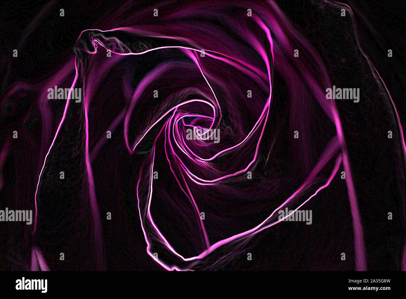 Skeleton rose flower. Digital art. Place for text Stock Photo - Alamy