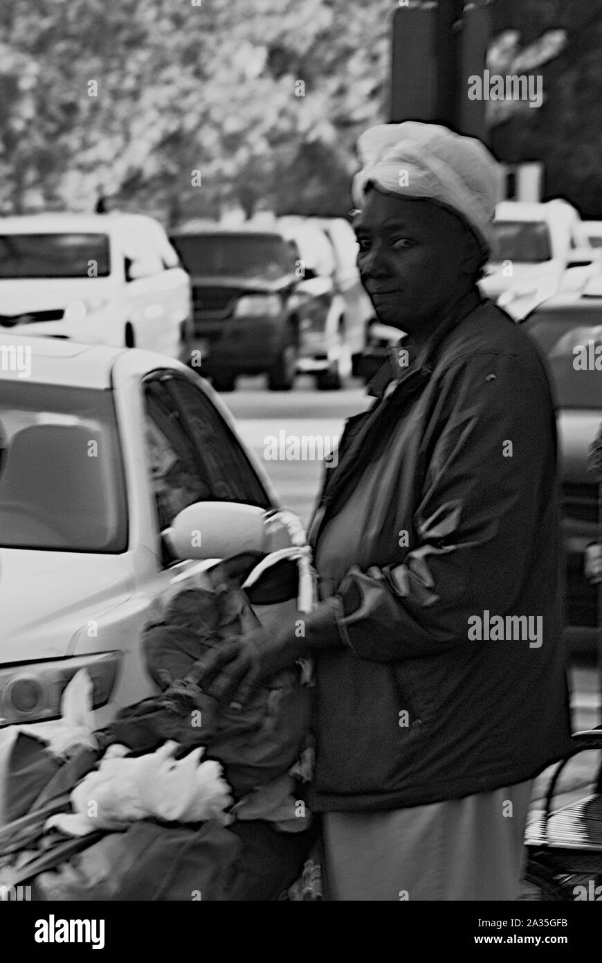Homeless woman Black and White Stock Photos & Images - Alamy